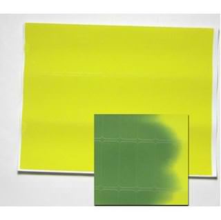 SpotSee | COLD ACTIVATED THERMOCHROMIC LABELS - YELLOW TO GREEN